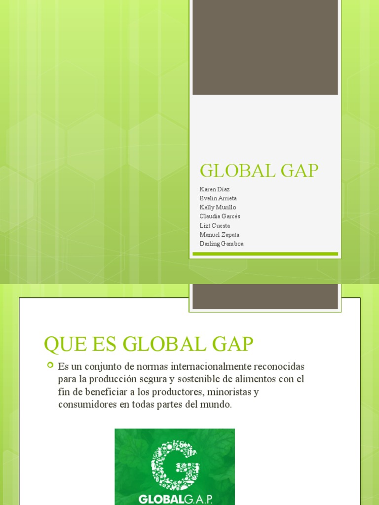Global Gap | PDF