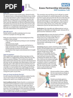 Ankle Sprain ED Leaflet | PDF | Clinical Medicine | Injury