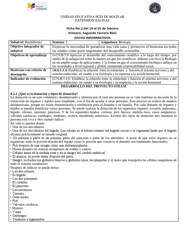 3RO BGU Proyecto STEAM | PDF | Sangre | Hueso