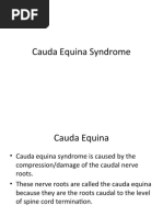 National Pathway for Cauda Equina Syndrome | PDF | Magnetic Resonance ...