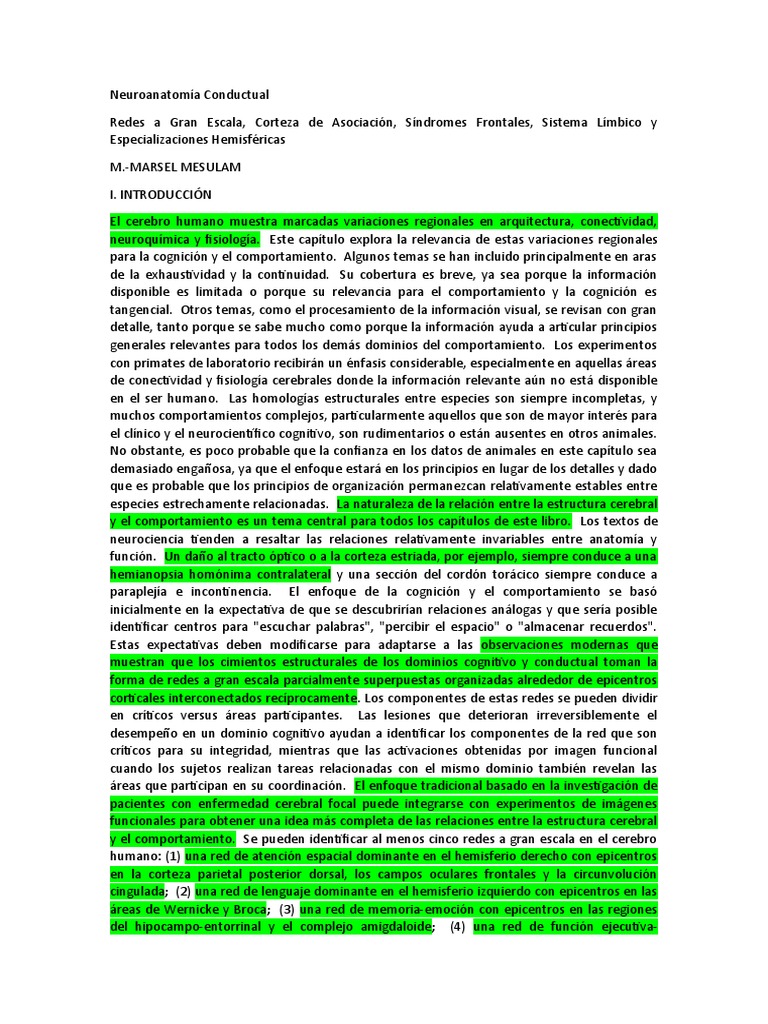 Capitulo I Mesulam Segunda Revision | PDF | Corteza cerebral | Cerebro