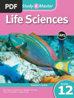 Answer Series Study Guide | PDF