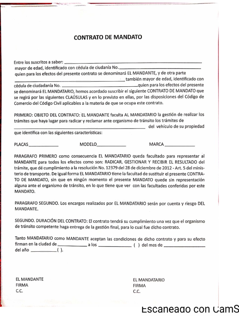 Formato de Poder de Mandato | PDF