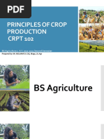 Agri601 50 Scientific Names of Crops. | PDF | Food Ingredients | Crops