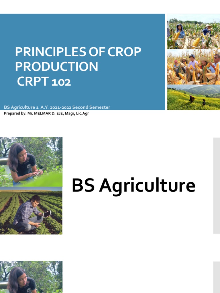 Principles of Crop Production | PDF | Plants | Botany