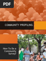 1 What Is A Community Profile?: Development of Community Profiling ...