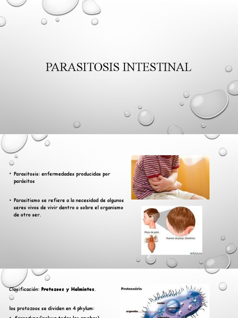 Parasitosis Intestinal | PDF | Especialidades Medicas | Medicina CLINICA