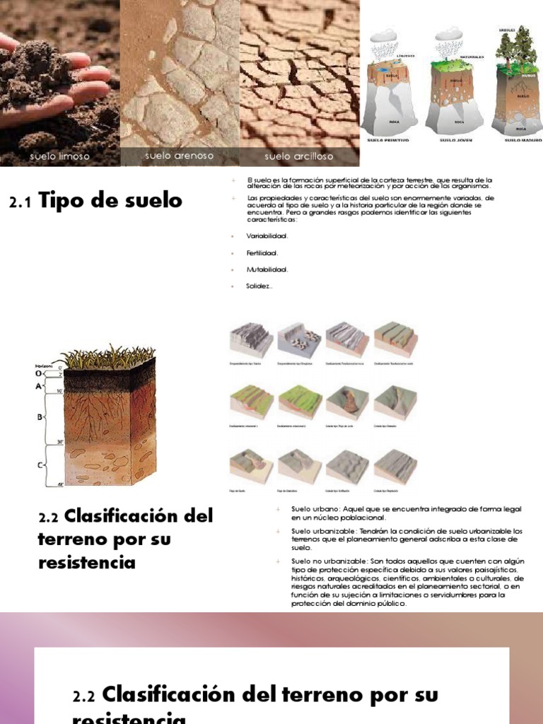 Guía Completa Sobre Características Y Tipos De Suelos – UNEB