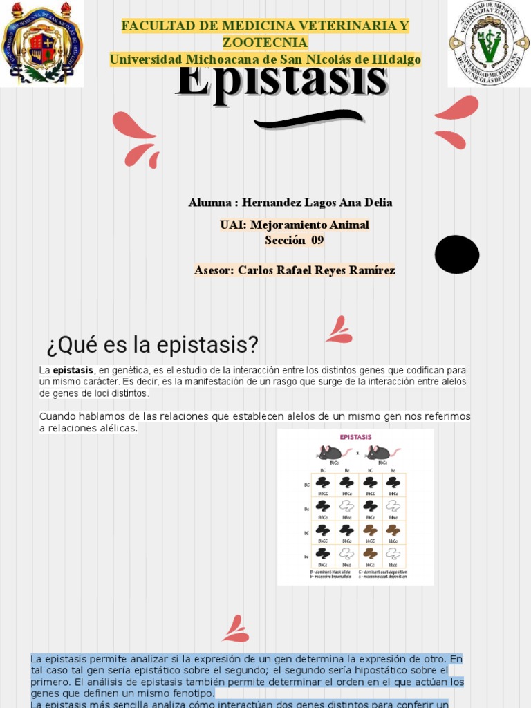 Epistasis | PDF | Epistasis | Dominancia (Genética)