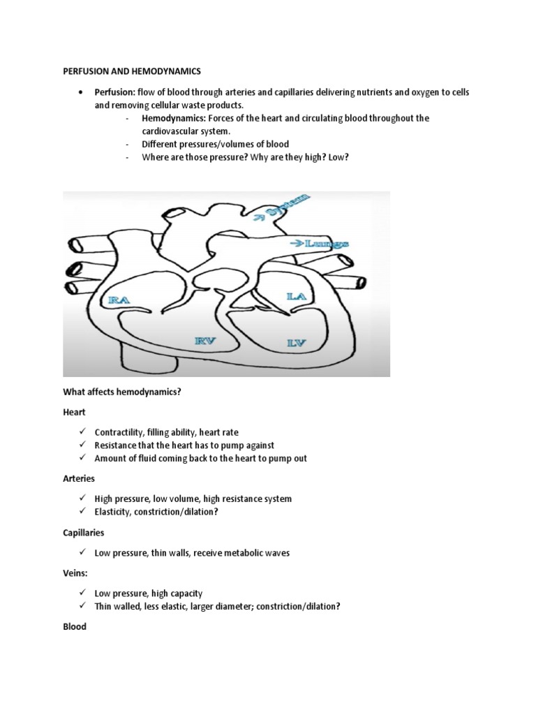 Hemodynamic Monitoring Guide | PDF | Heart | Atrium (Heart)