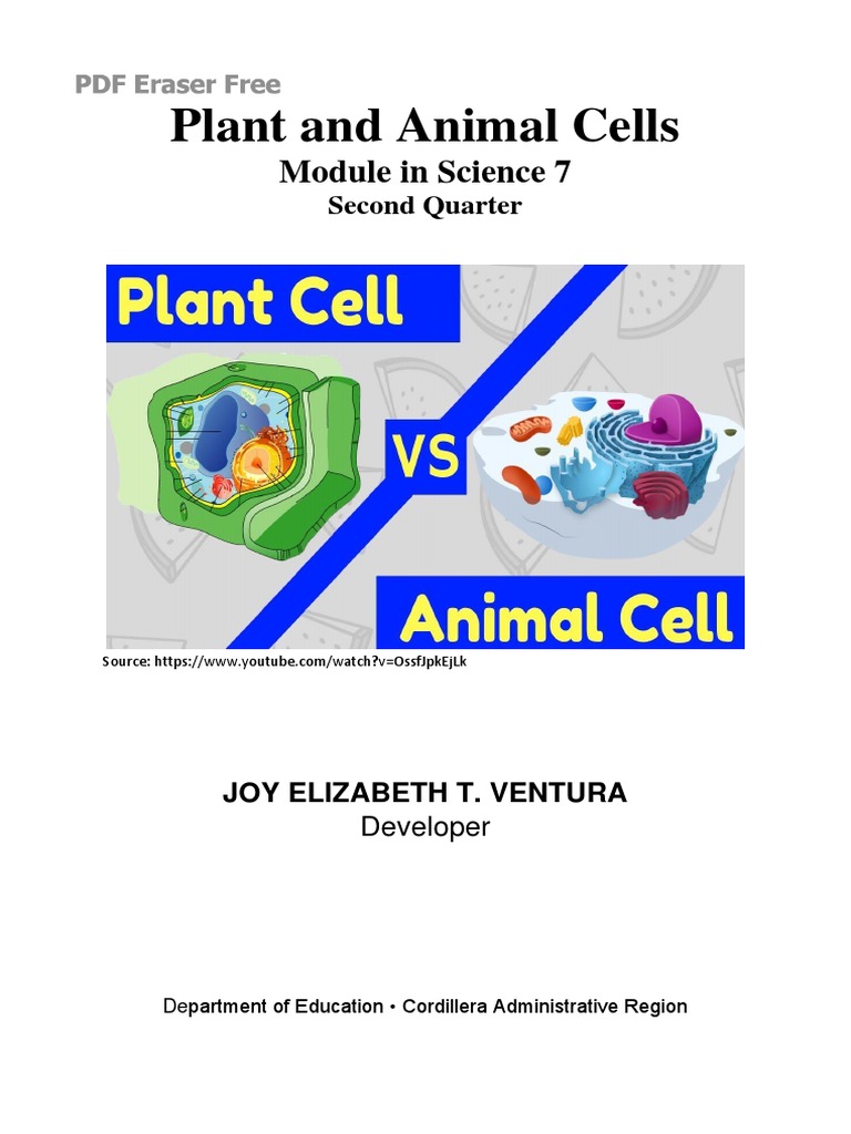 Plant and Animal Cells: Module in Science 7 | PDF | Cell (Biology ...