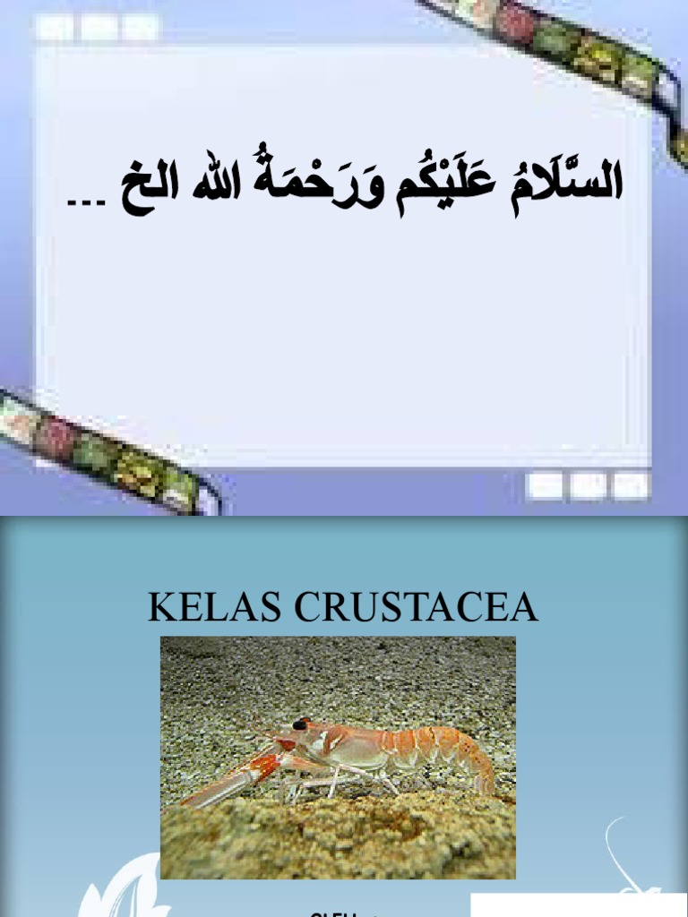 Kelas Crustacea | PDF | Griya & Taman | Kesehatan Holistik