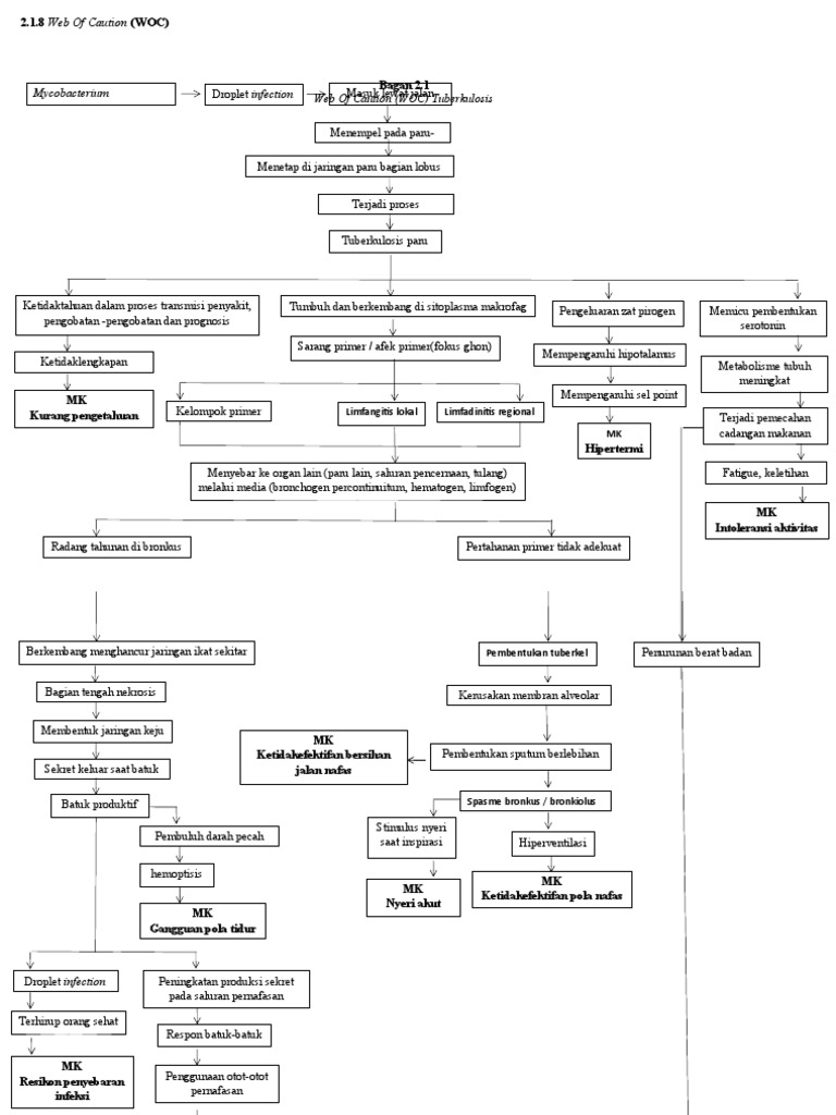 Web of Caution (WOC) Tuberkulosis | PDF