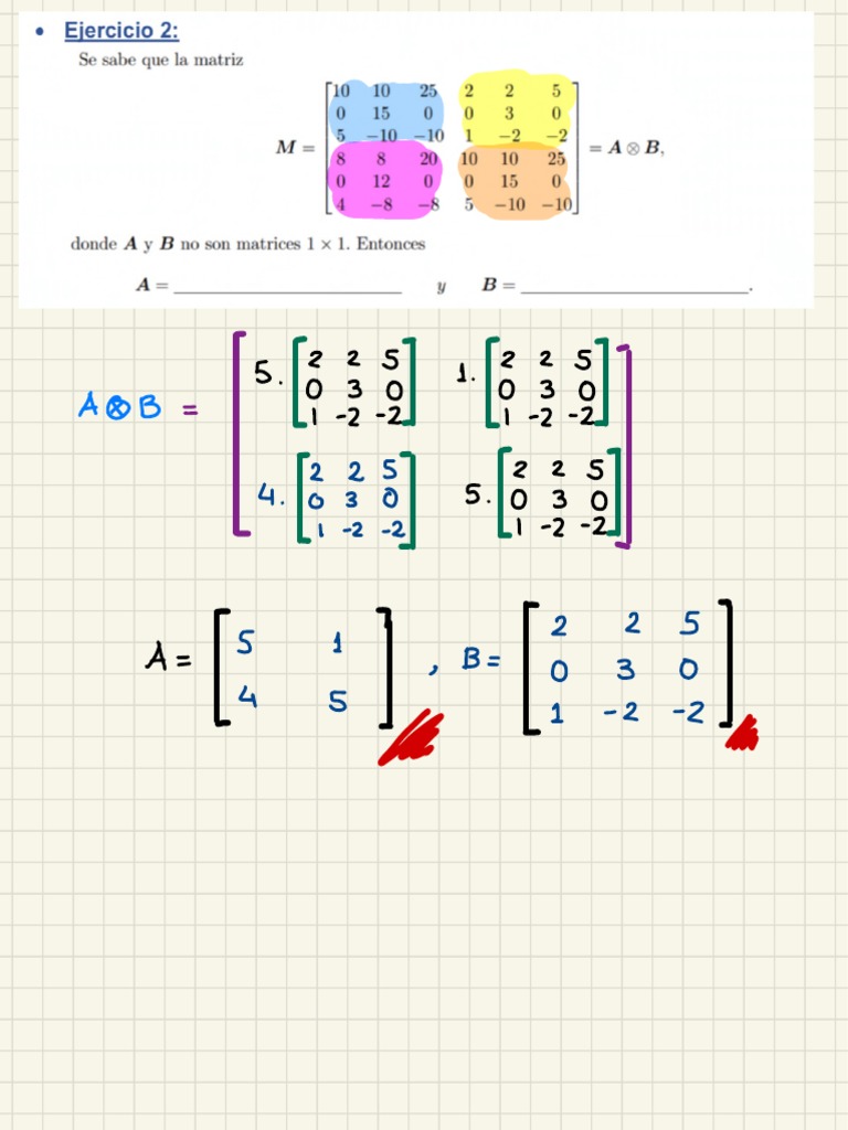 Ejercicios de Particion de Matrices y Producto Kronecker | PDF ...