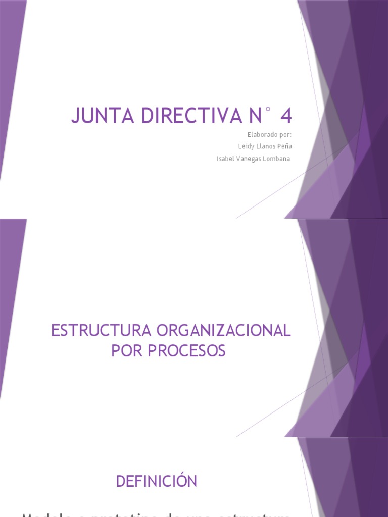 Estructura Organizacional Por Procesos | PDF