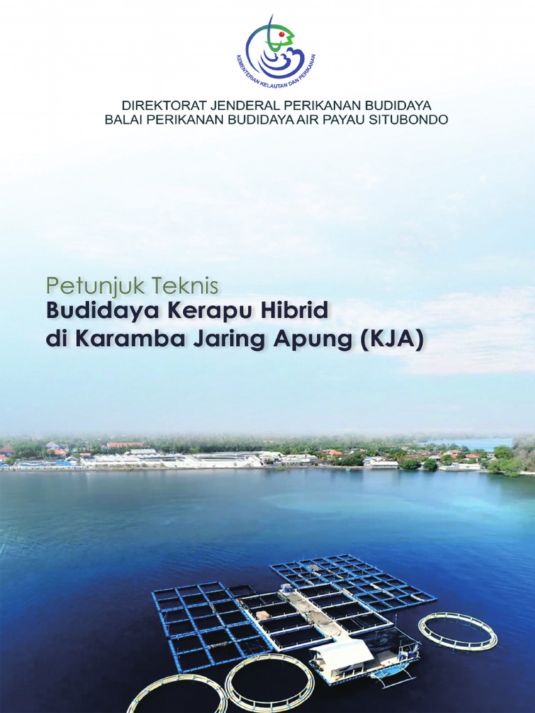 Budidaya Kerapu Hibrid di KJA | PDF