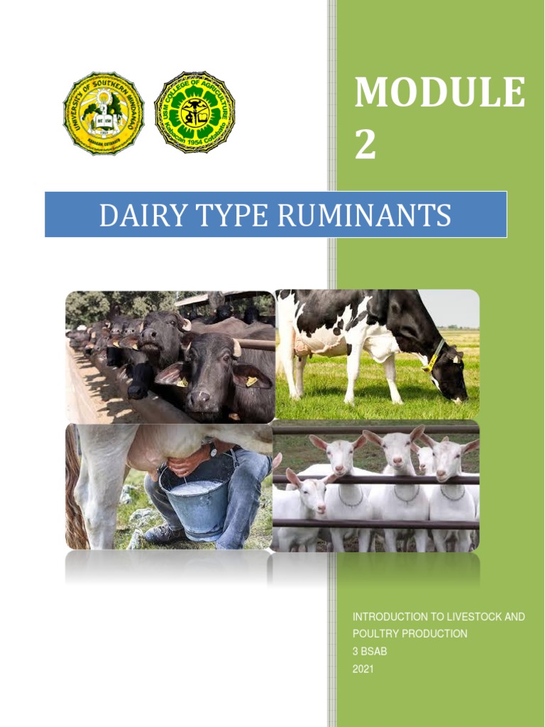 ASS 122 - Module 2 Breeds of Dairy Cattle | PDF | Cattle | Dairy Cattle