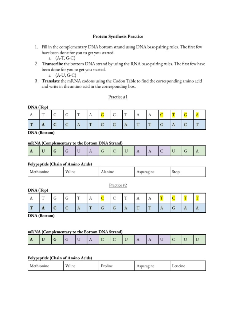 Protein Synthesis Practice (Sidney Berjamin) | PDF | Translation ...