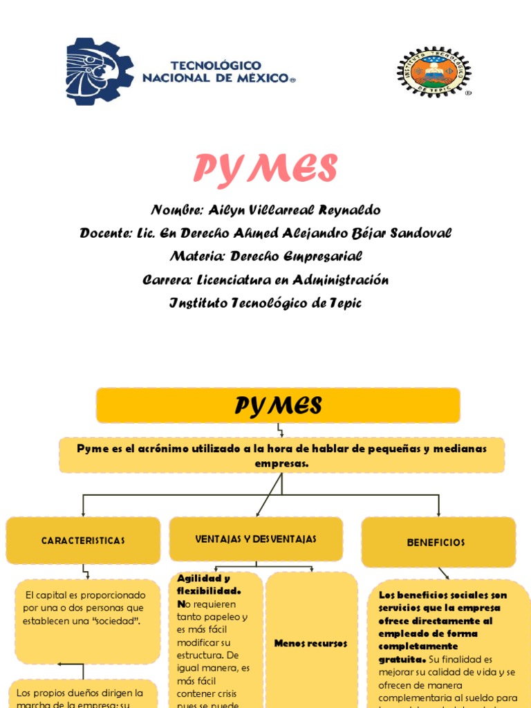 Mapa Conceptual 3.4 | PDF | Pequeñas y medianas empresas | Business