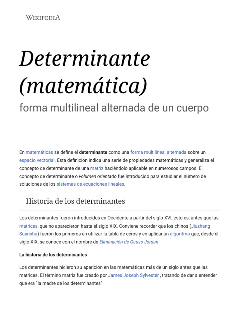 Determinante (Matemática) - Wikipedia, La Enciclopedia Libre | PDF ...