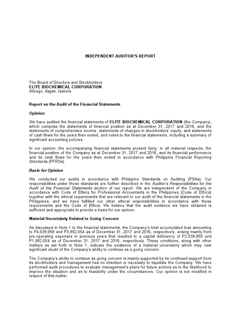 Capital Deficiency Audit Report | PDF | Going Concern | Audit