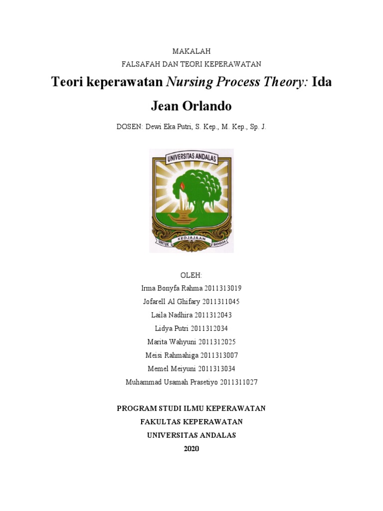 10 Nursing Process Theory Ida Jean Orlando | PDF