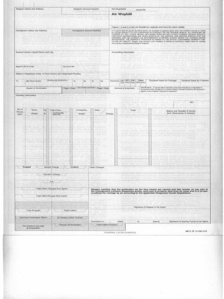 Formato de Guia Aerea | PDF