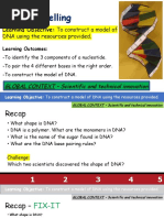 Grading Rubric For DNA Model | PDF | Dna | Base Pair