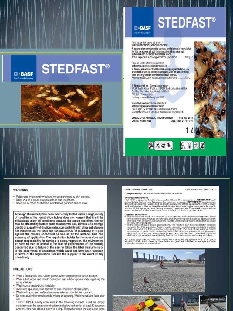 Stedfast Brochure | PDF
