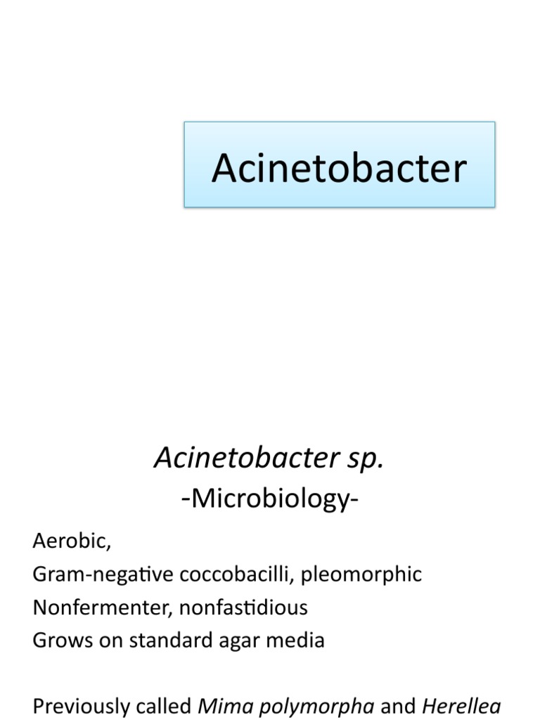 Acinetobacter | PDF | Hospital Acquired Infection | Clinical Medicine