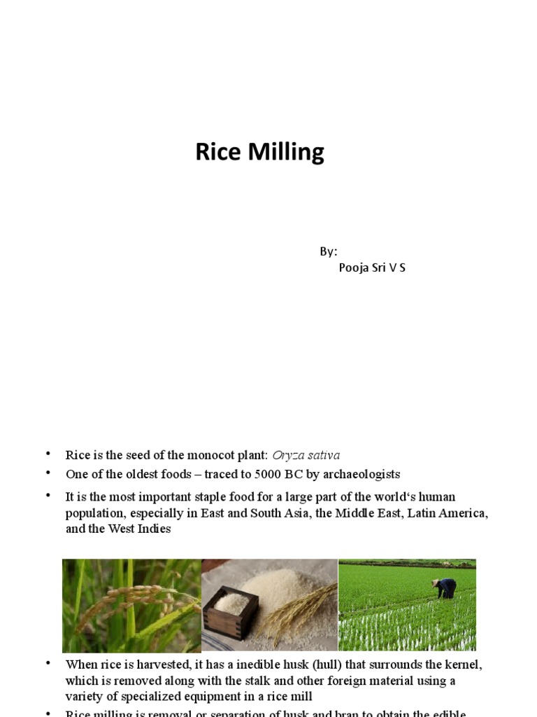 Rice Milling | PDF