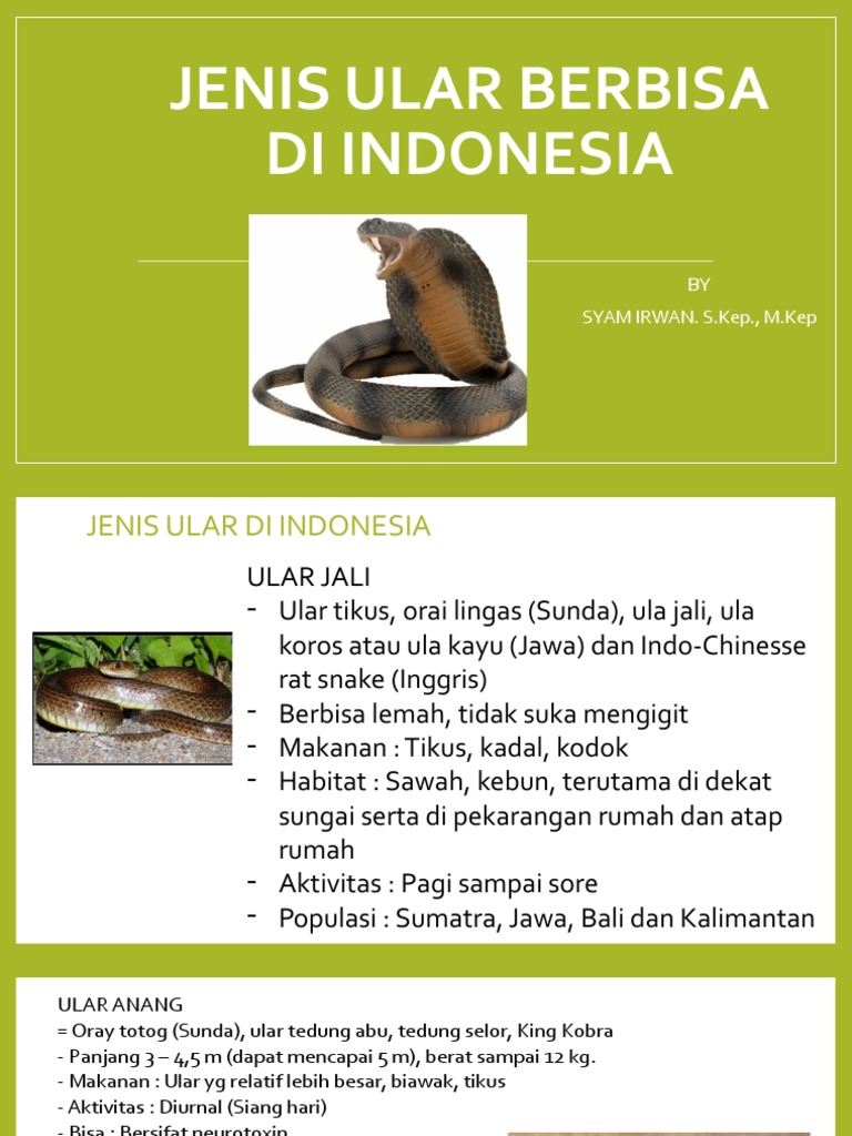 Jenis Ular Berbisa Di Indonesia | PDF