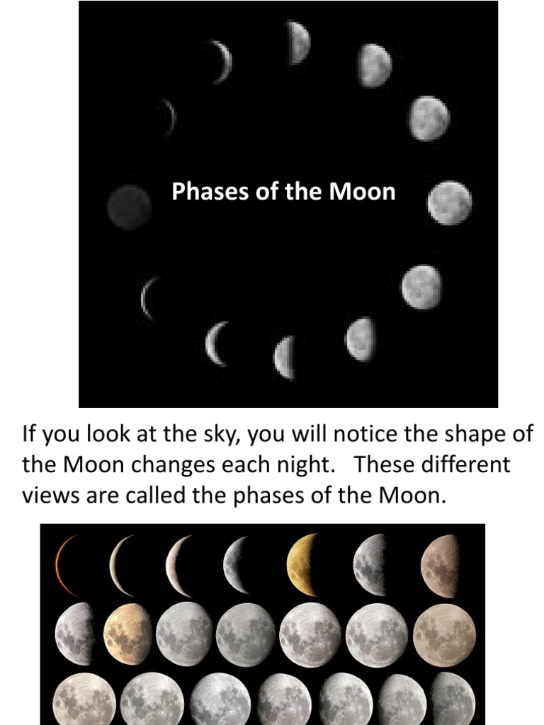 Phases of The Moon Presentation | PDF
