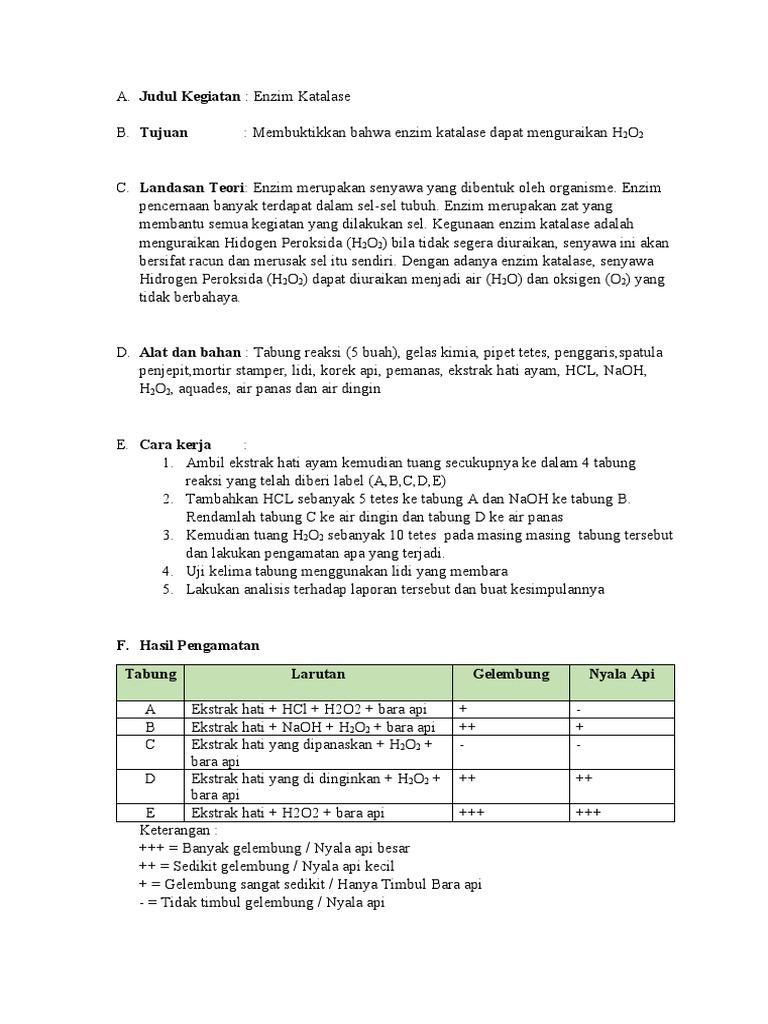 Enzim Katalase | PDF