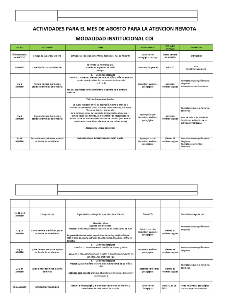 Plan de Trabajo Mes de Agosto | PDF