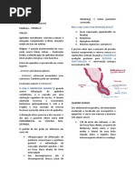 Anatomia e Funções do Apêndice Vermiforme | PDF | Doenças e distúrbios ...