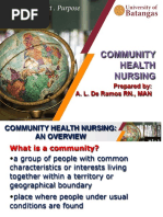 Developmental Action Plan CHN | PDF | Hypertension | Diabetes Mellitus