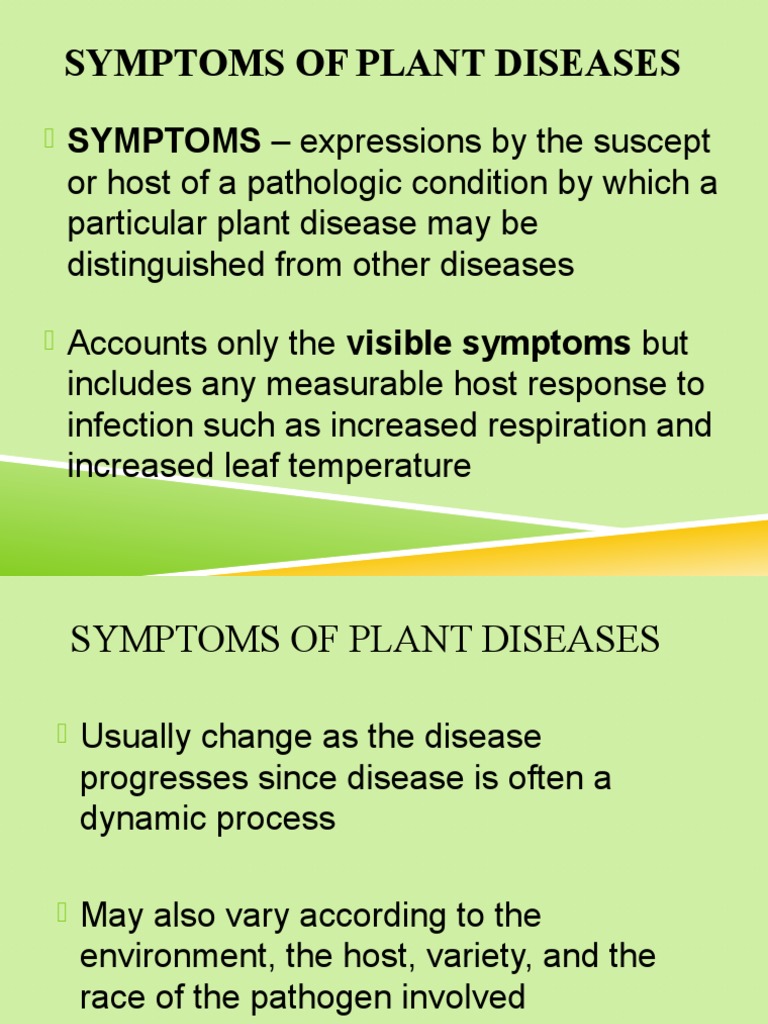 +symptoms of Plant Diseases | PDF | Leaf | Branches Of Botany