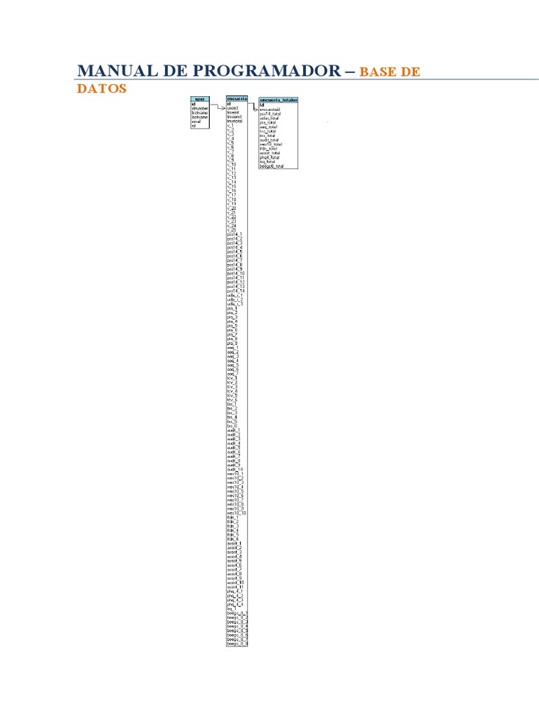 Manual de Programador (Base de Datos) | PDF