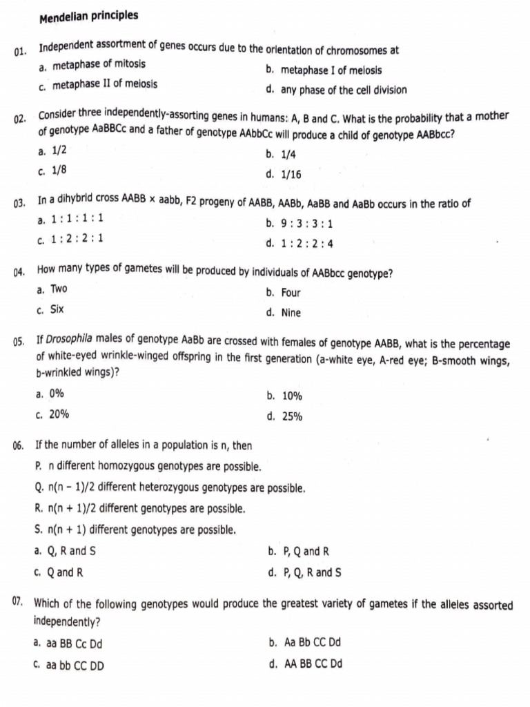 Genetics MCQ 1 | PDF | Dominance (Genetics) | Genotype