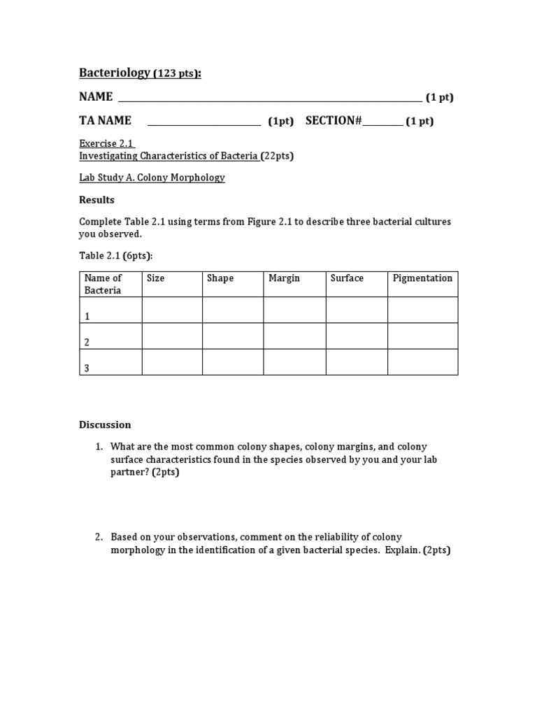 Bacteriology Student Worksheet SP19 | PDF | Bacteria | Infection