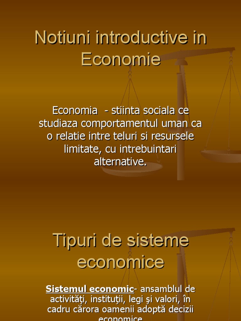 Notiuni Introductive in Economie | PDF