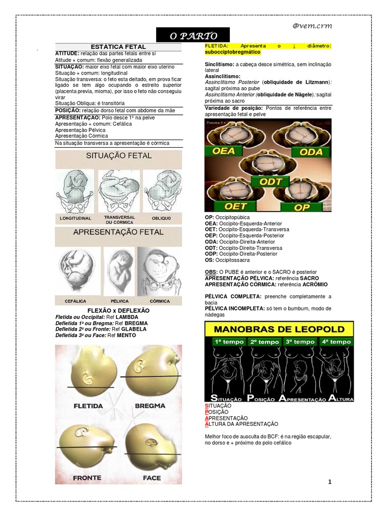 o Parto | PDF | Parto | Especialidades médicas