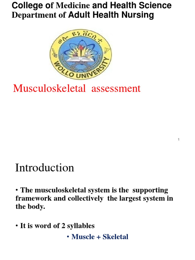 Musculoskeletal Assessment | PDF | Anatomical Terms Of Motion ...