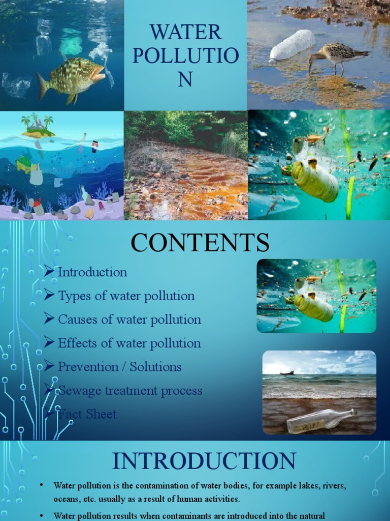 Nupur Dagdiya - Water Pollution class-IX | PDF | Water Pollution | Water