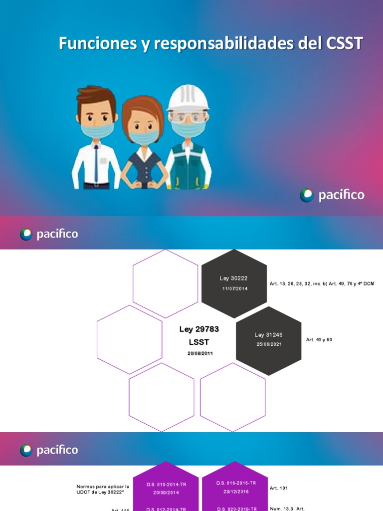 Funciones y Responsabilidades Del Comité de SST | PDF | Seguridad y salud ocupacional | Ciencias ...