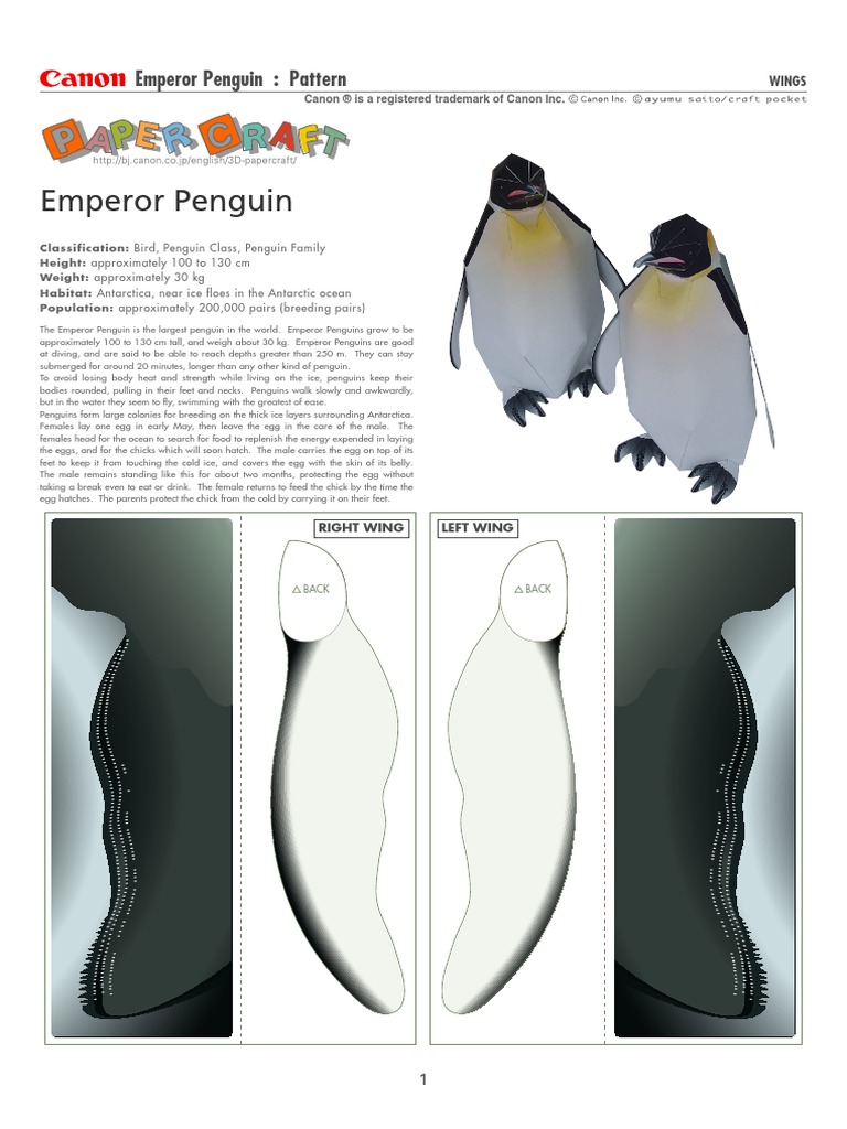 Emperor Penguin: Pattern | PDF | Penguin | Birds