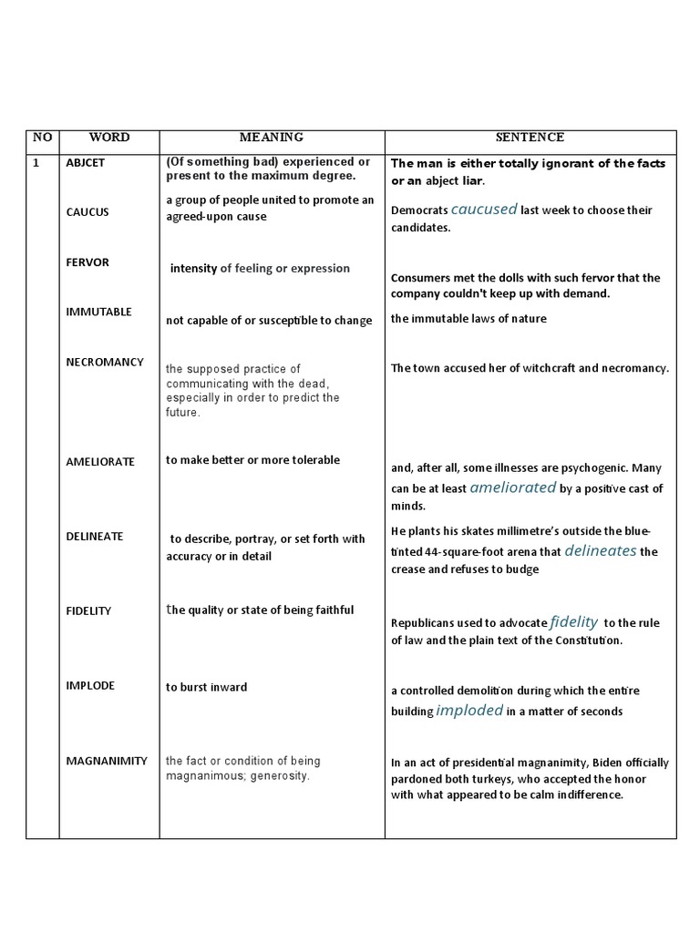 Caucused: NO Word Meaning Sentence Abjcet The Man Is Either Totally ...