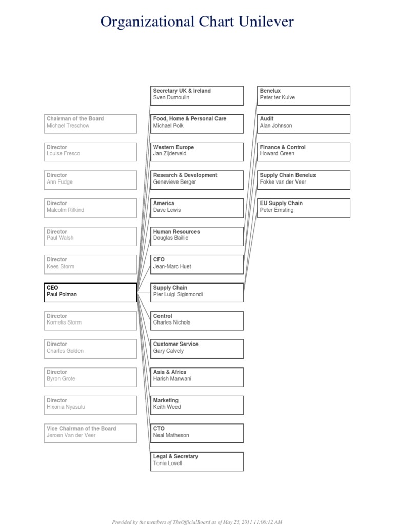Organizational Chart Unilever: Chairman of The Board | PDF