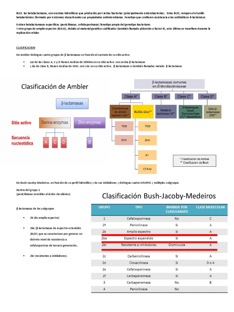Clasificación de Betalactamasas según Ambler | PDF | Beta lactamasa ...